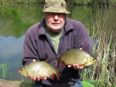 Brandesburton fishing pond 3 & 4